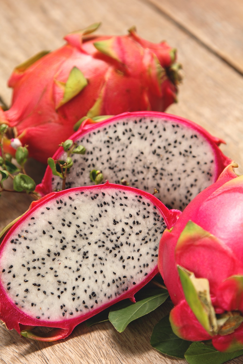 Fresh Fruit - Kim Minh International 2022