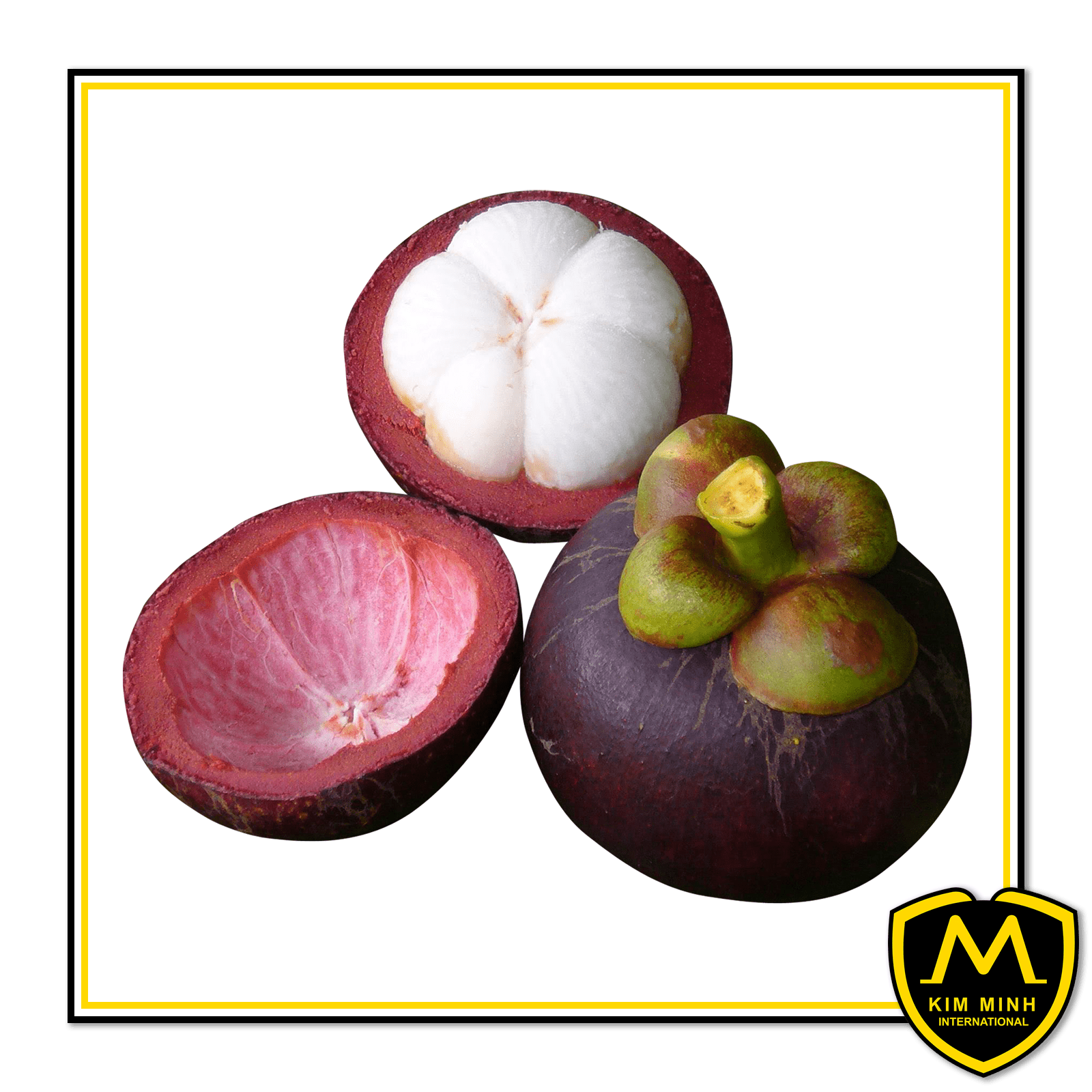 Mangosteen Kim Minh International 2023